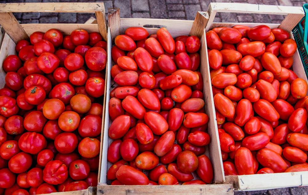 TASTE NAPLES - FROM HERE COME THE FLAVORS OF OLD ITALY.